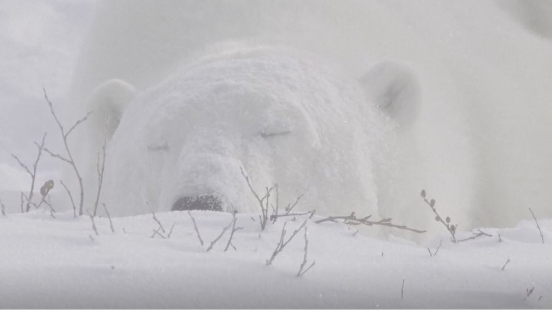 Weather Whiz: November 9 | Weather.com