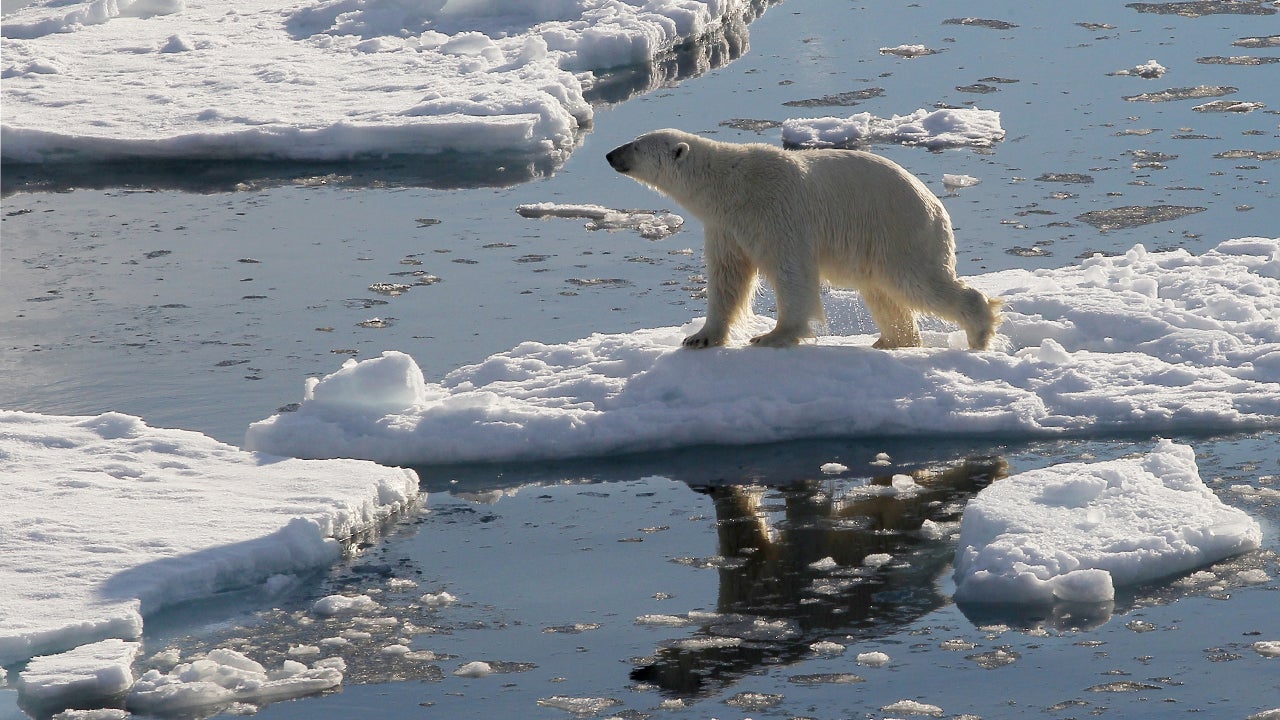 State of the Climate 2017: Greenhouse Gases Hit New High in One of the ...