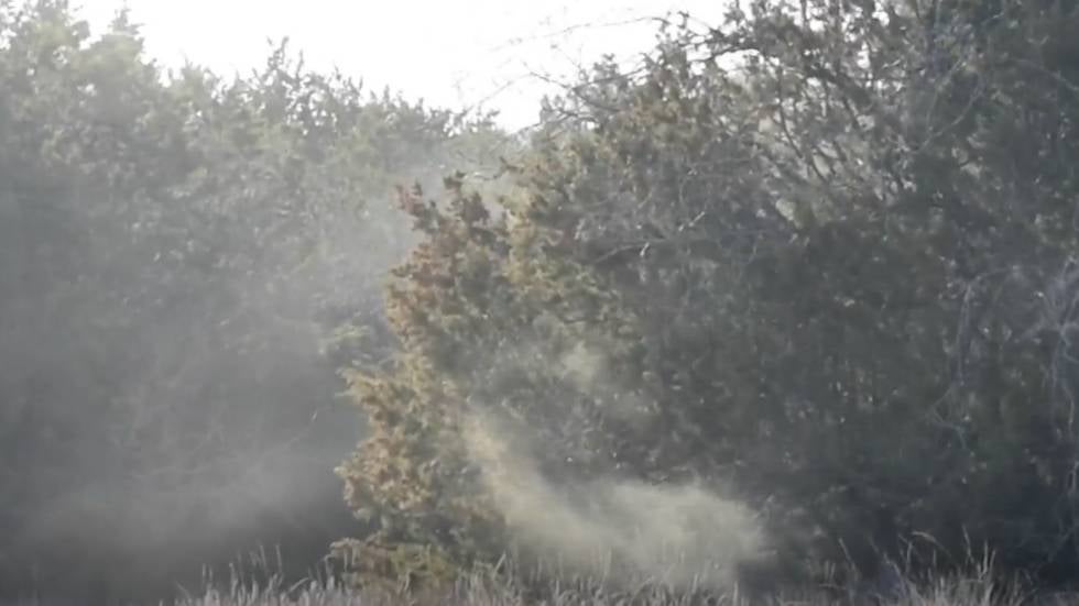 Giant Pollen Explosion in Texas - Videos from The Weather Channel