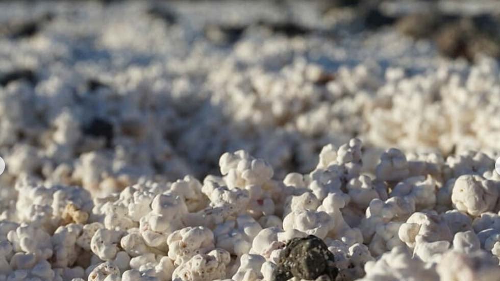 Is This Beach Covered in Popcorn? - Videos from The Weather Channel