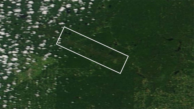 Wisconsin Macroburst Downed So Many Trees the Damage Can Be Seen From ...