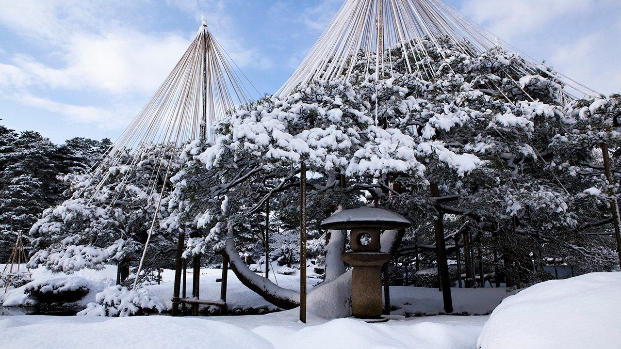 Descubra as Yukitsuri: Estruturas que salvam as árvores do Japão há ...