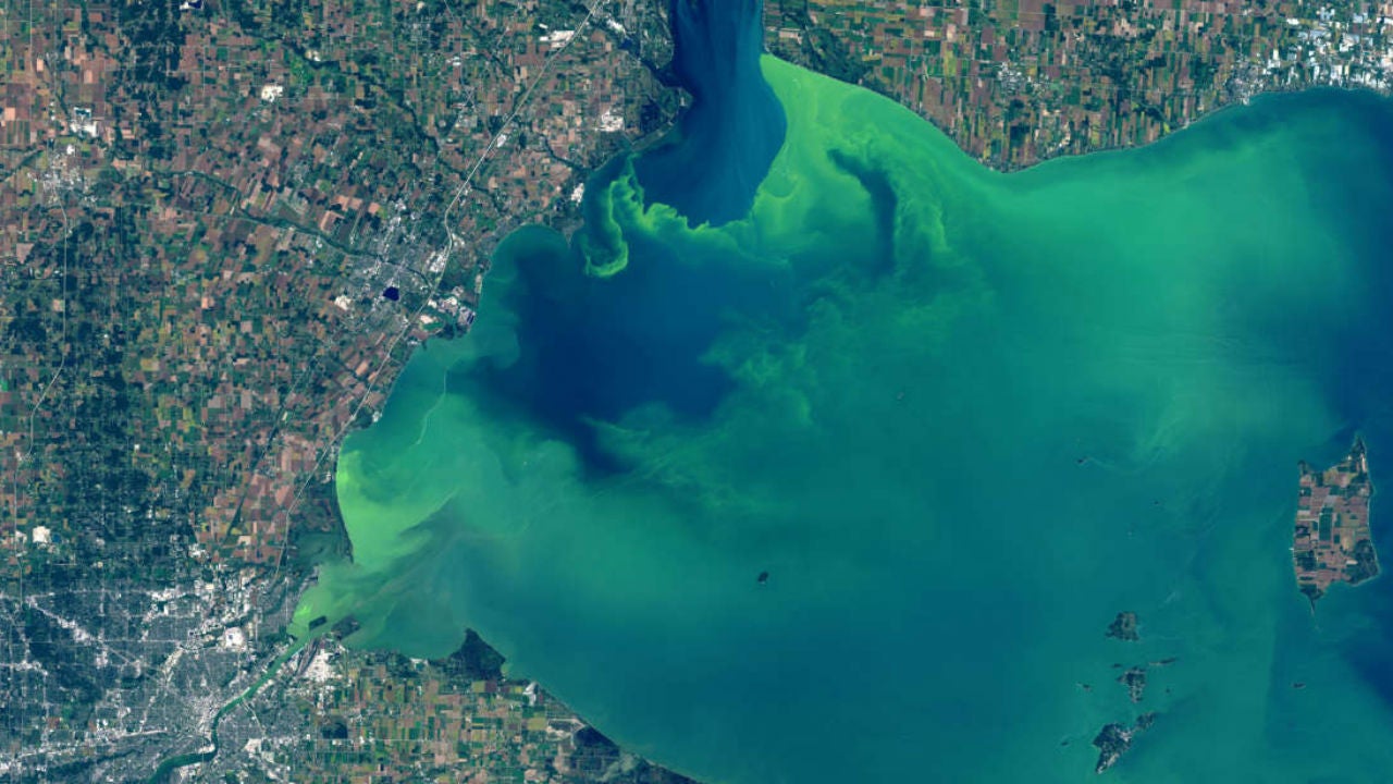 Este lago pode parecer bonito, mas esconde vários perigos para a saúde ...