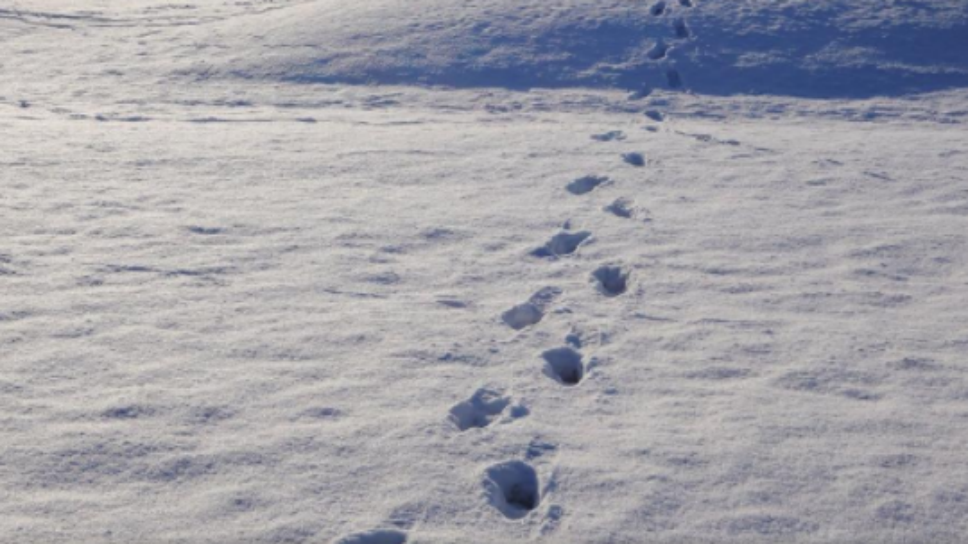 Prepare-se para um fim de semana com muita chuva e neve | Weather.com