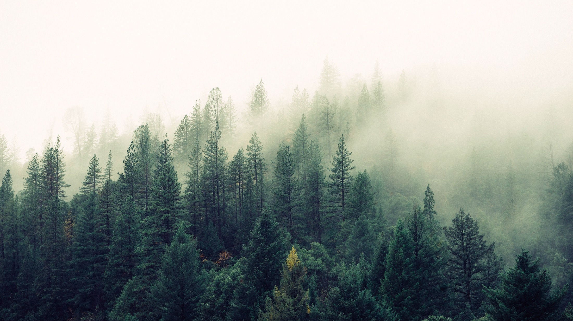 Semana começa com neblina e nevoeiro | The Weather Channel