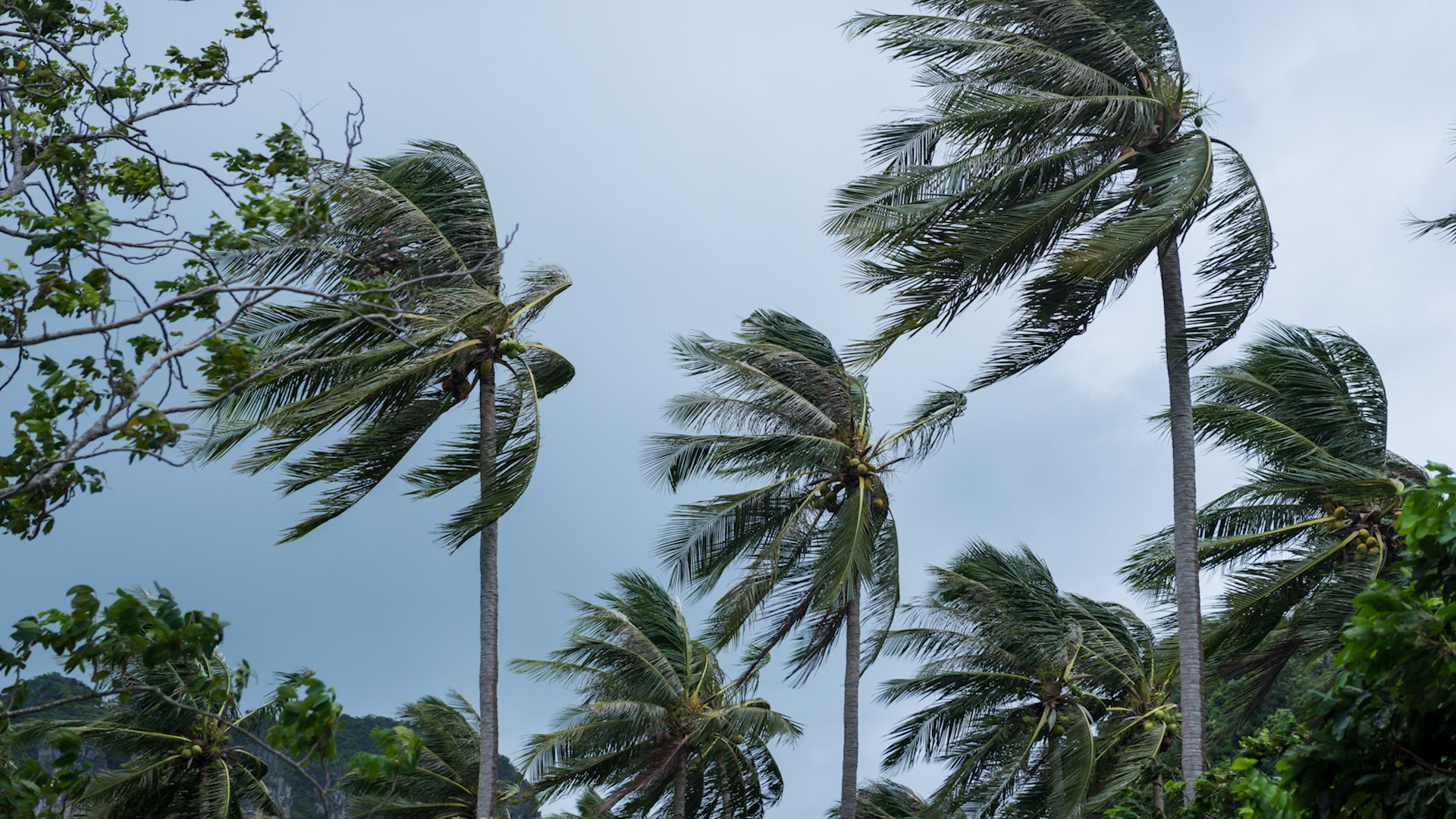 Tropical Storm Oscar Heads For Bahamas, Turks And Caicos | Weather.com