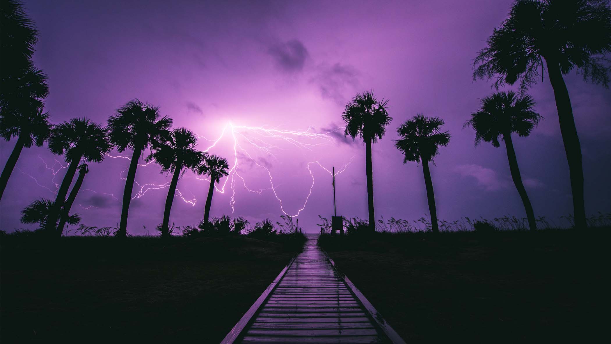 Weather Words: 'Purple Rain' | Weather.com