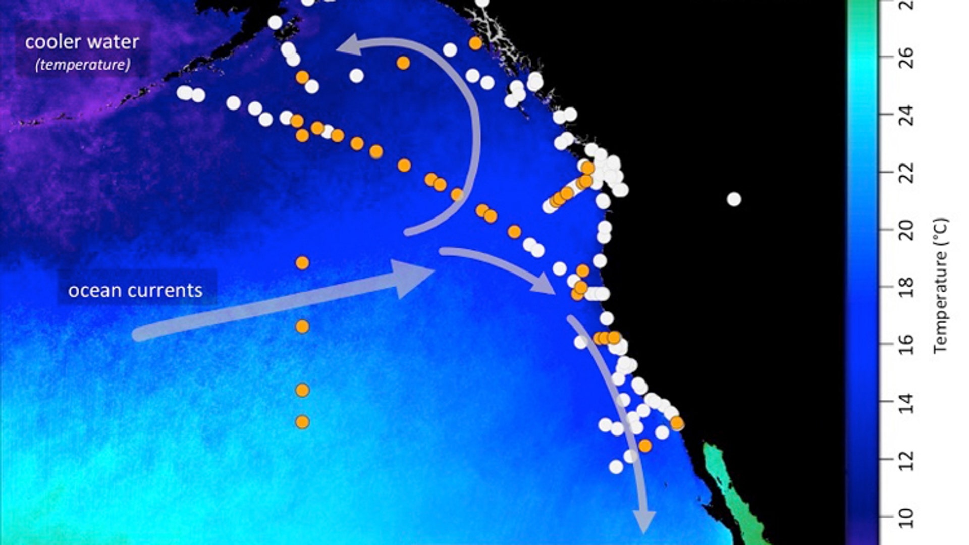 Higher Levels of Radiation from Japan Nuclear Disaster Detected Off ...