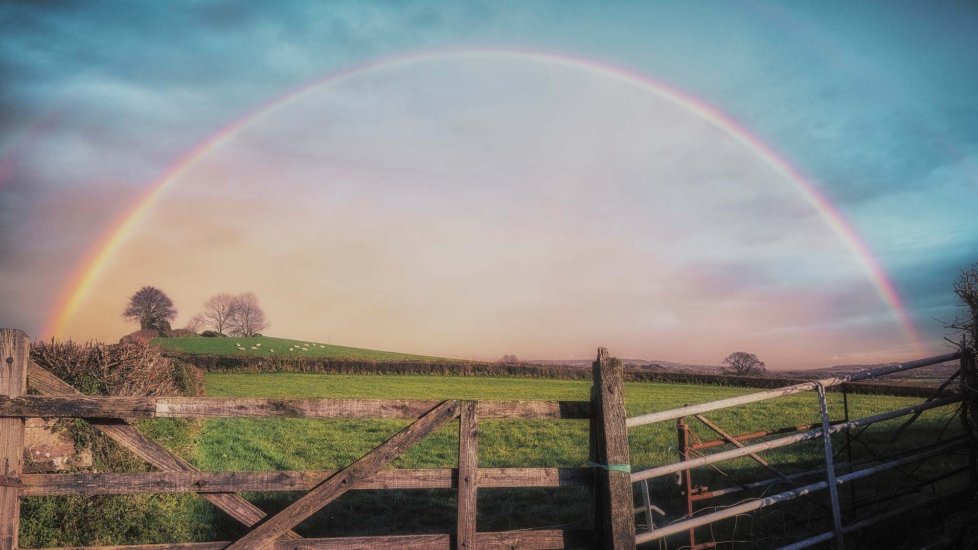 St. Patrick's Day Myth Busted: The Truth About Rainbows And Nature's ...