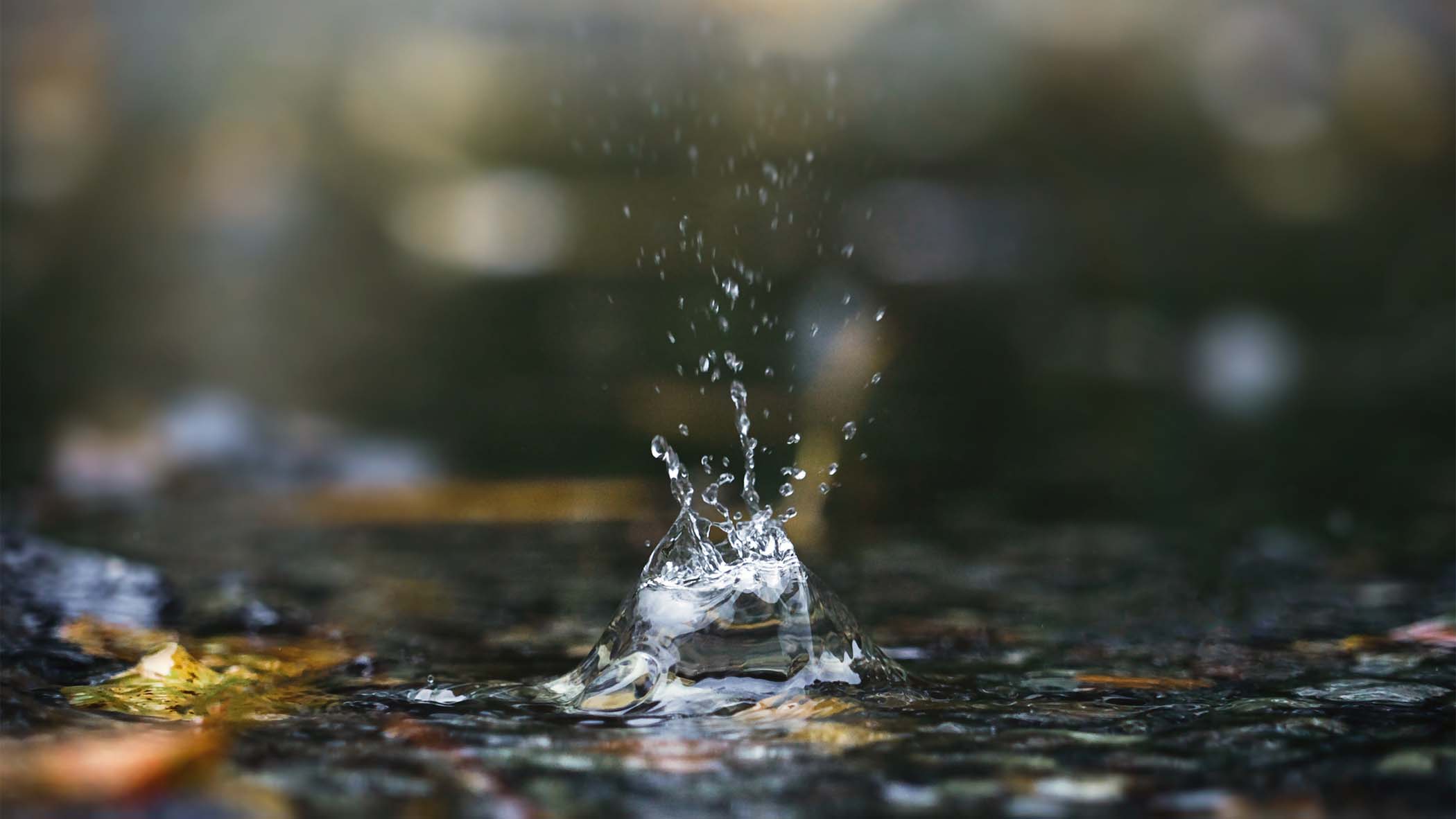 Ask A Met: How Big Can A Raindrop Be? | Weather.com