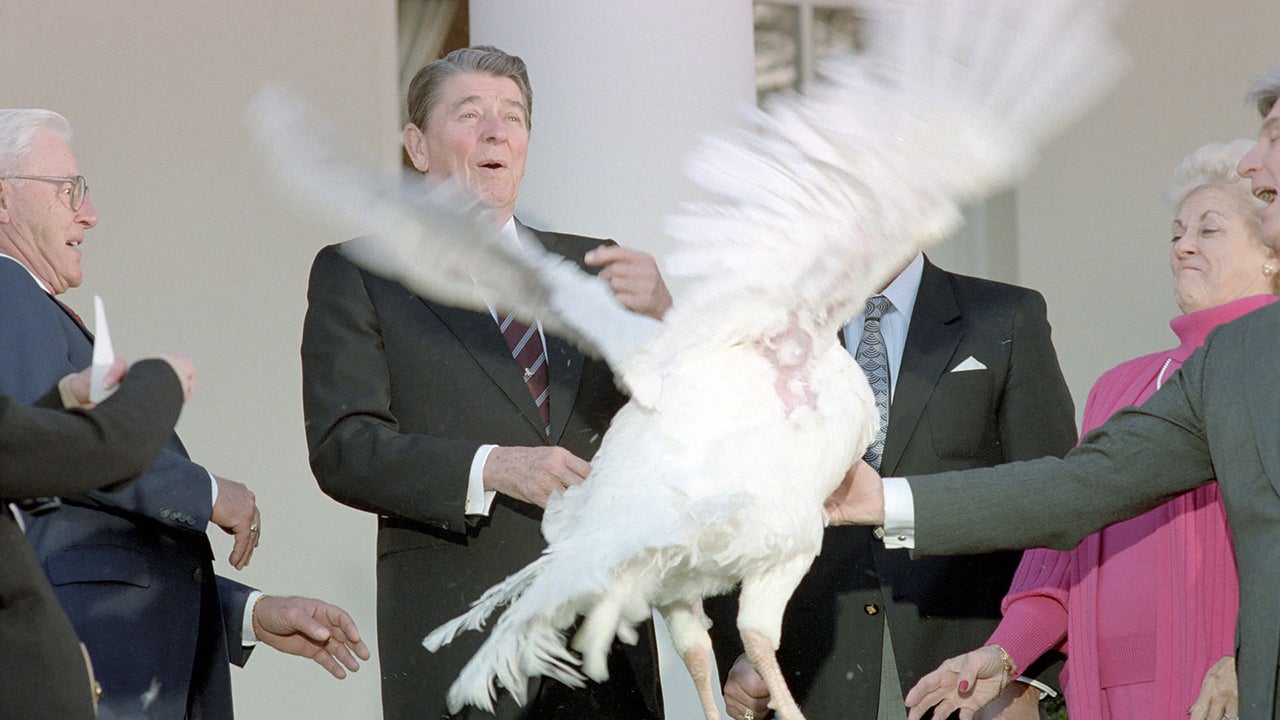 Thanksgiving Traditions: Glimpses of Presidential Turkey Pardon Through ...