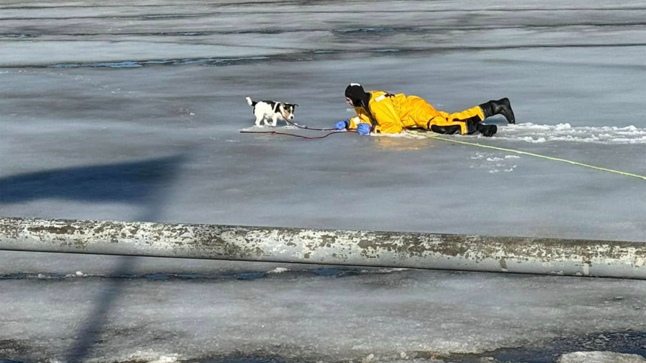 Dog In Peril Saved From Frozen River | Weather.com