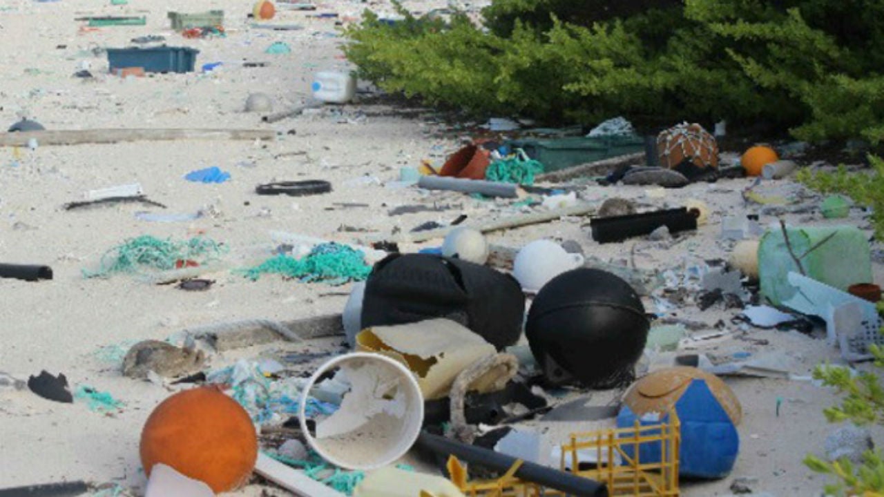 The World's Trashiest Beach Is on a Remote Pacific Island Untouched by ...