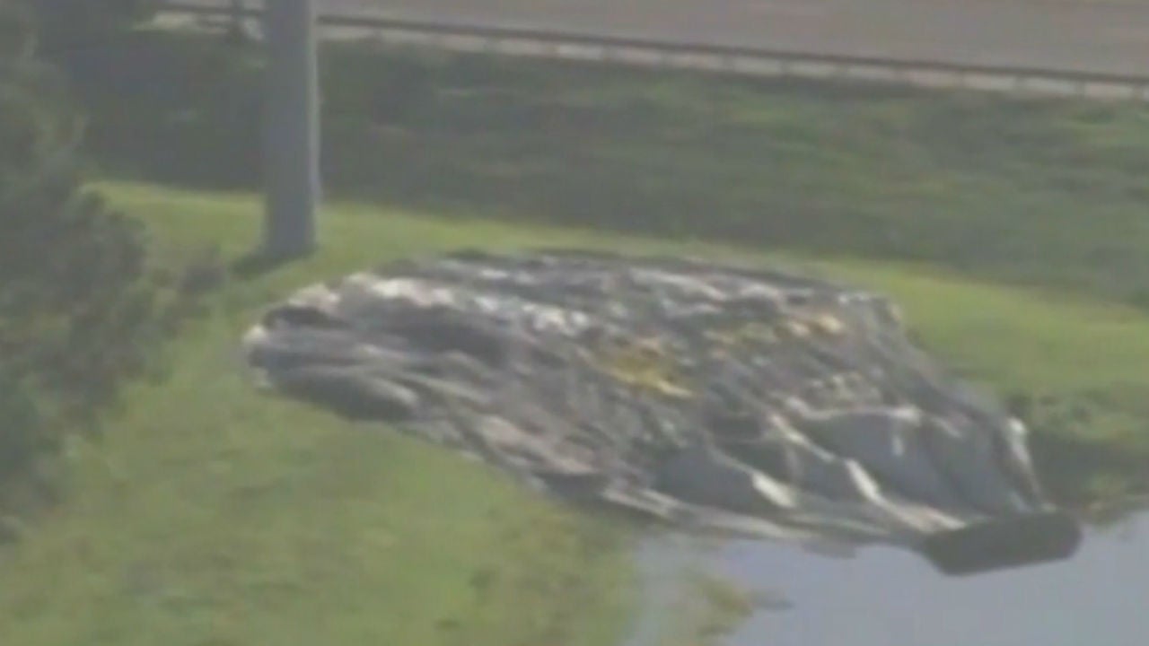 Wind Shift Prompts Hot Air Balloon Crash In Gator-Infested Pond Near ...