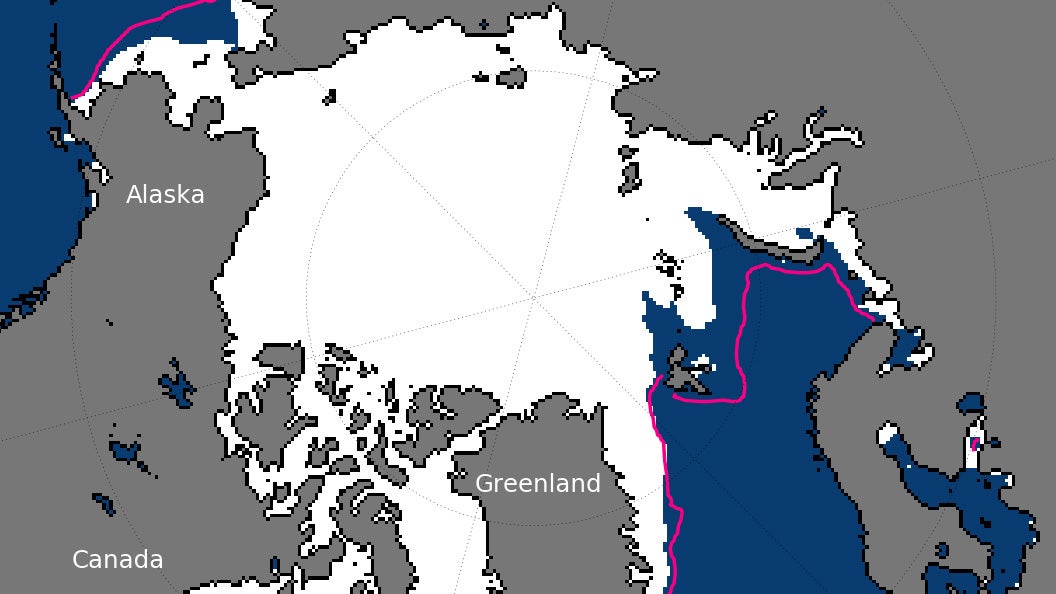 Global Sea Ice at Record Low: What Happens When All the Ice Melts ...