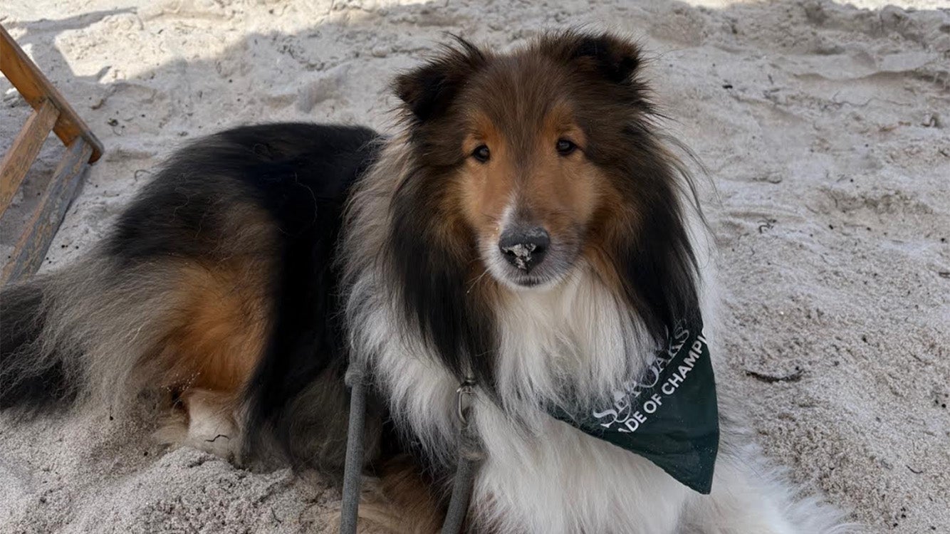 Weather Buddies: 'Rory' | Weather.com