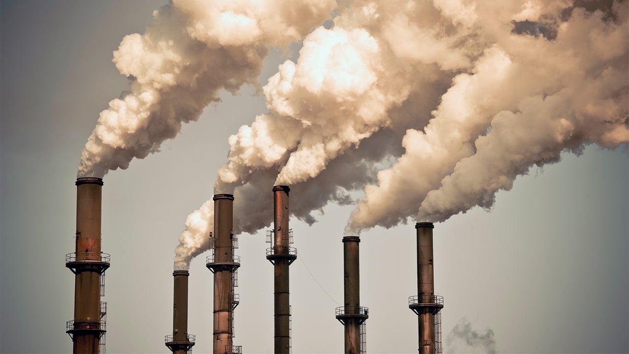 Climate Change Death Rates Will Soar by 2050, Experts Say | The Weather ...
