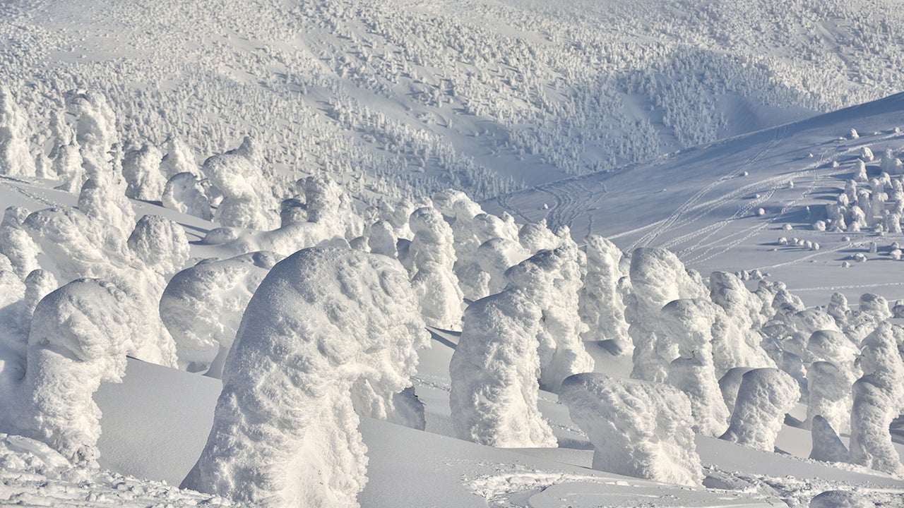 Stunning Photos of a Forest of 'Snow Monsters' in Japanese Mountains ...