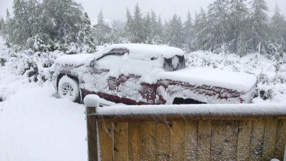 Newfoundland June Weather