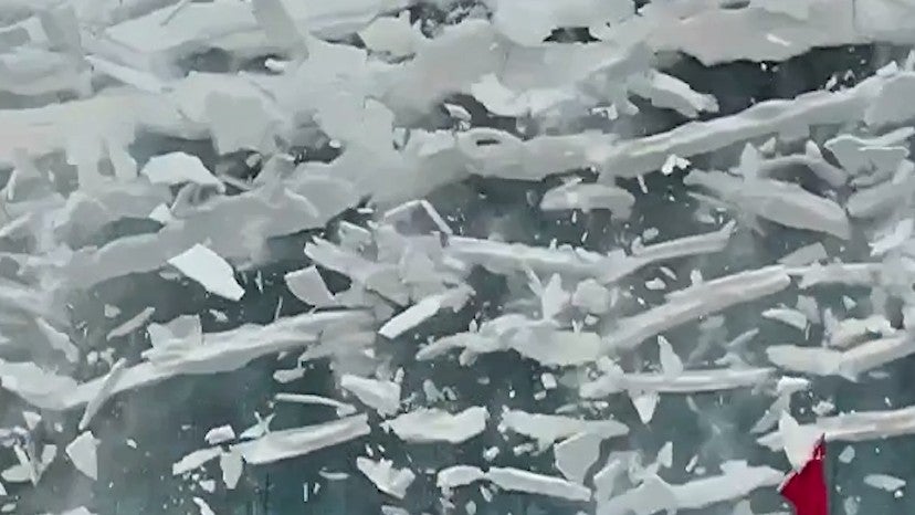 Roger the Roo Was an Inspiration to Bodybuilders Everywhere - Videos ...