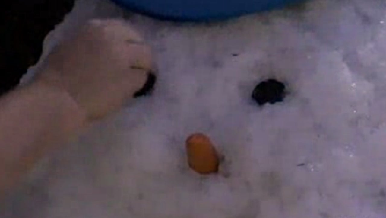 New York Family Fights to Keep Snowman Alive Through Spring | The ...
