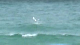 Spinner Shark Puts on a Show off Florida Coast (VIDEO) | The Weather ...
