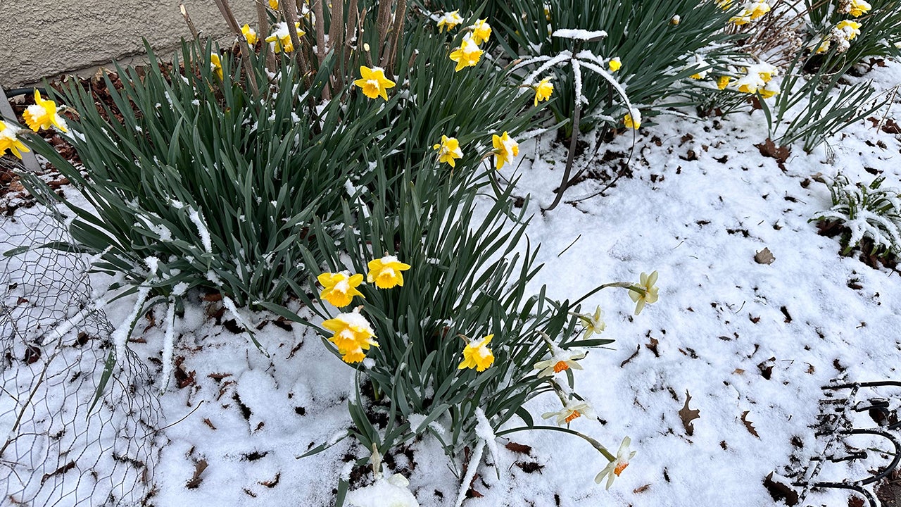Spring Snow May Be Frustrating, But It's Needed For The Upper Midwest ...