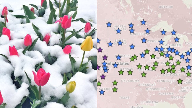 When Spring's Last Snow Typically Happens (INTERACTIVE) | The Weather ...