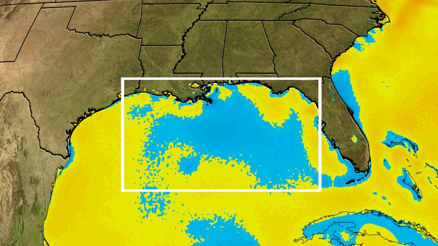 Barry Leaves Its Mark in the Gulf of Mexico by Cooling Down Water ...