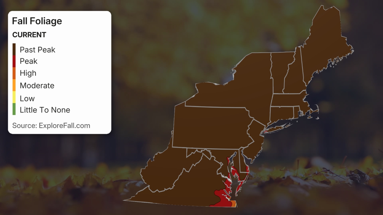 Fall Foliage Map Tracker: Current Status And Peak Times | Weather.com