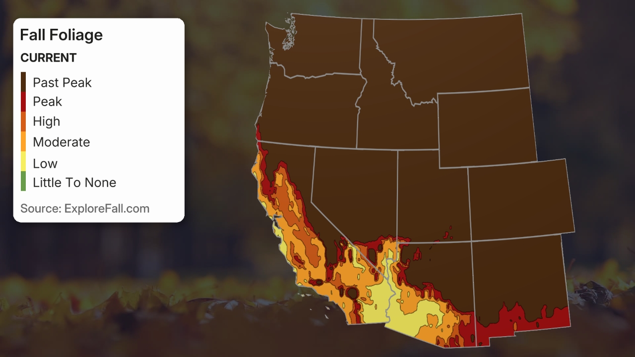 Fall Foliage Map Tracker: Current Status And Peak Times | Weather.com