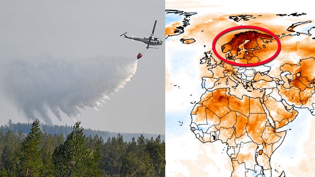 Sweden Wildfires Most Serious in Recent Times Aggravated By Record ...