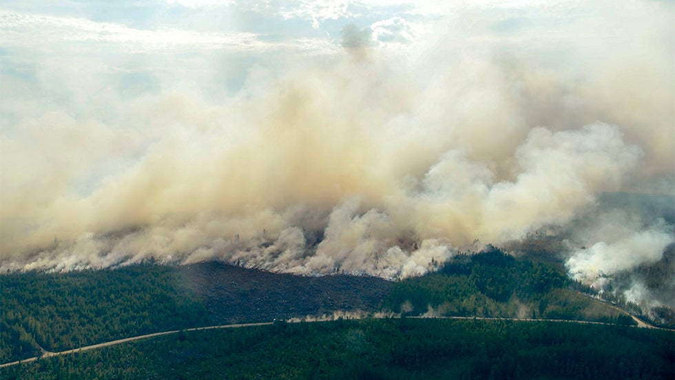 Sweden Wildfires Most Serious in Recent Times Aggravated By Record ...