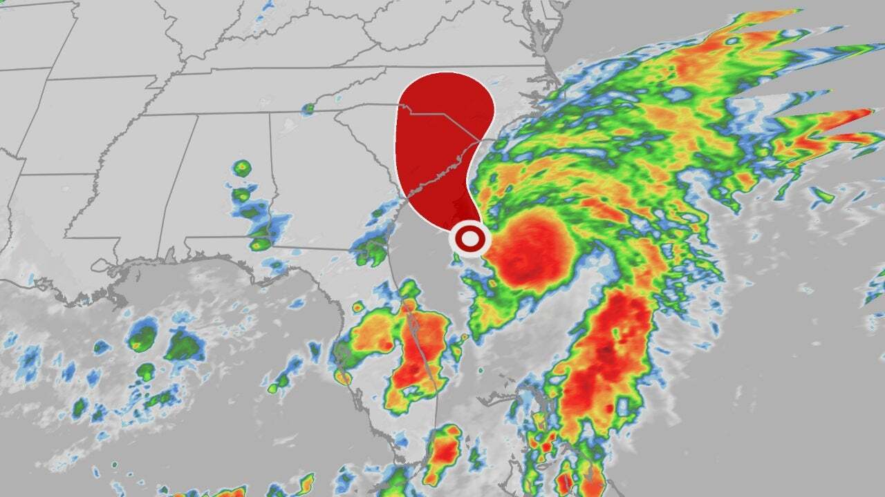 Florida Iguana Lives Thanks to Good Samaritan - Videos from The Weather ...