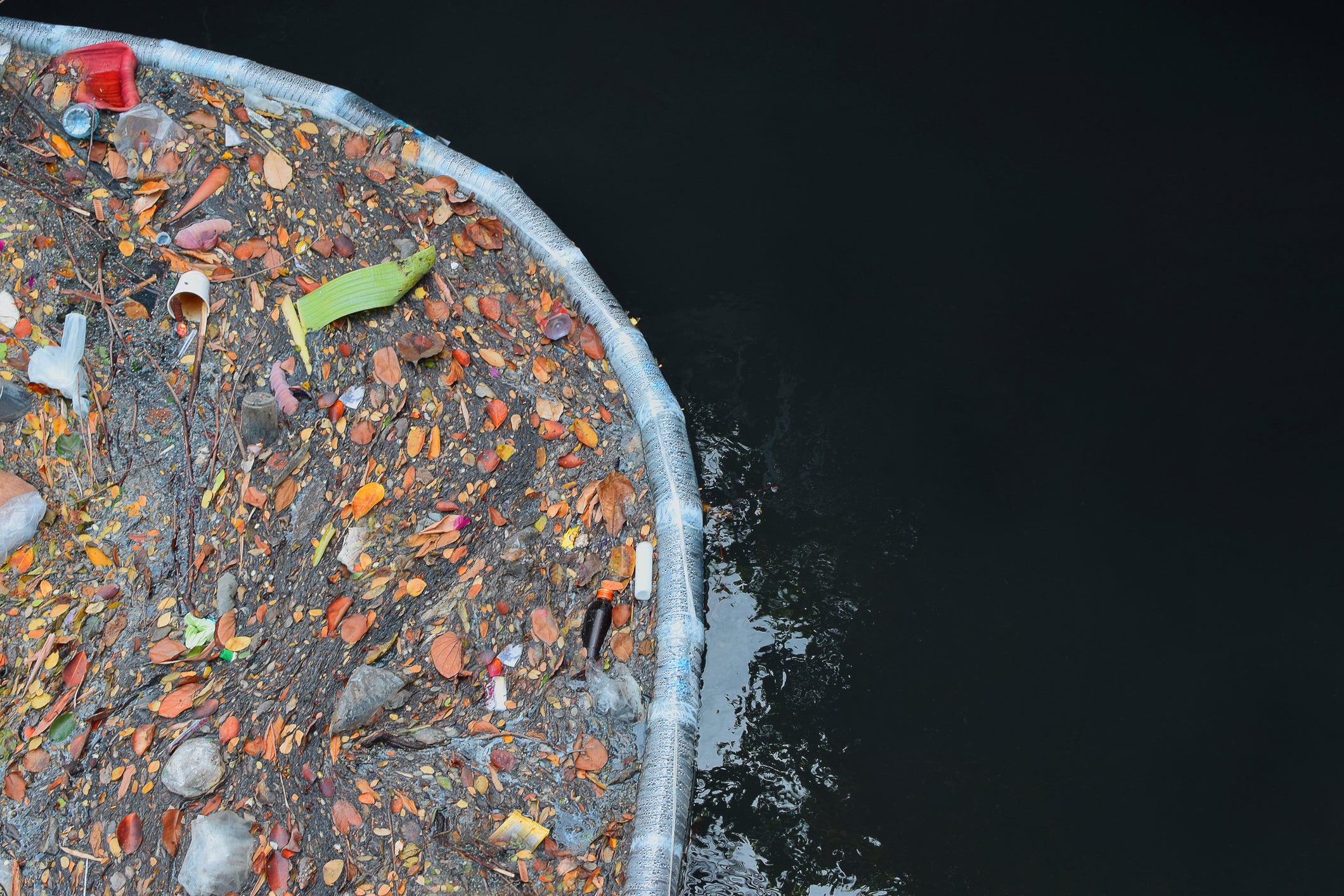 More Massive Plastic Garbage Patches Found, This Time in the Arctic ...
