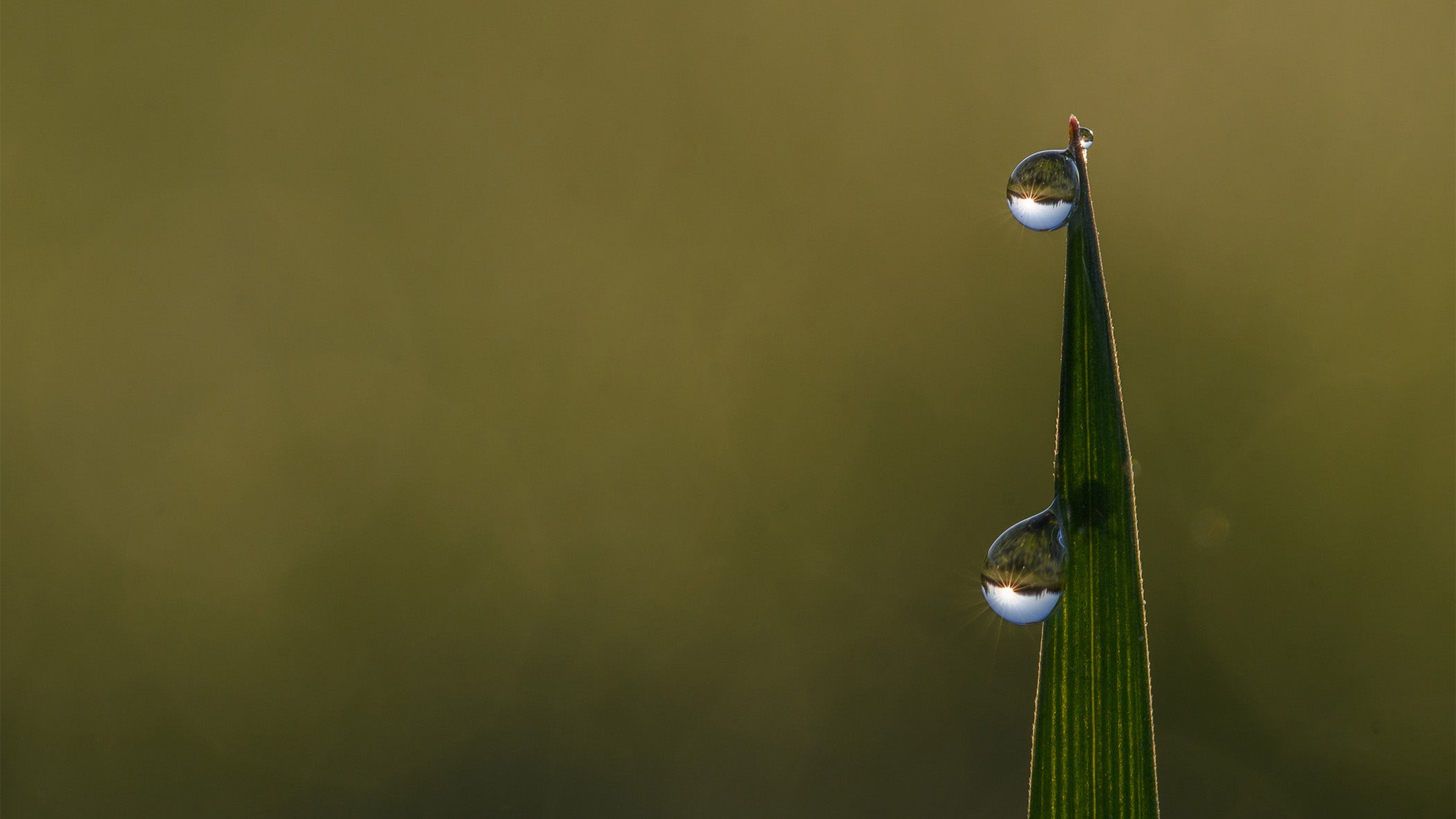 Weather Words: 'Thunder-Drop' | Weather.com