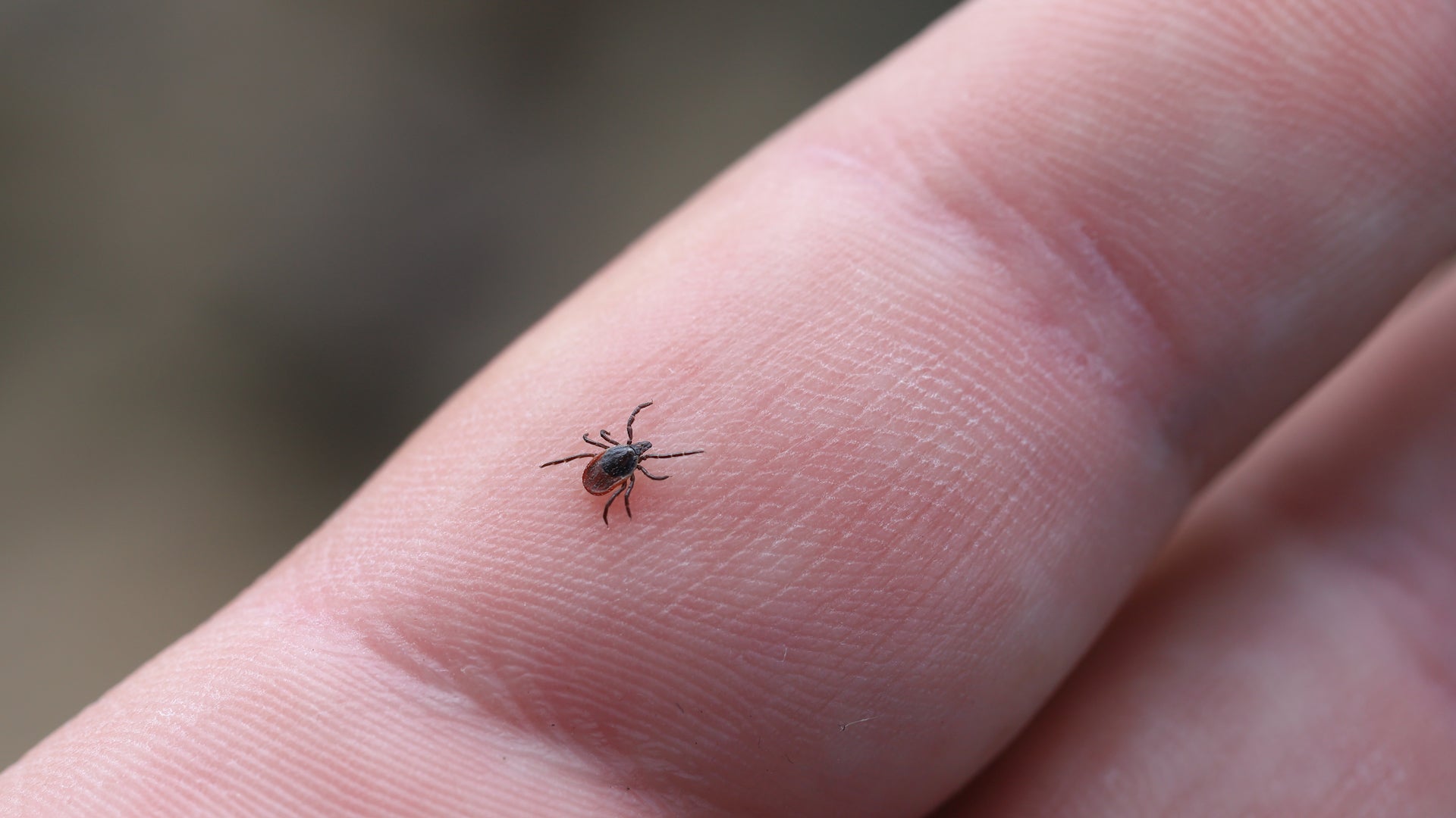 10-Day Weather Forecast for Jeddah, Mecca, Saudi Arabia - The Weather ...