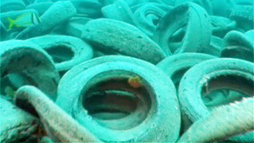 Florida's 'Tire Reef' Has Turned Into an Environmental Disaster | The ...