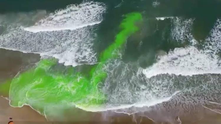 Rip Currents Are Dangerous; Here's How to Spot Them and Survive If You ...