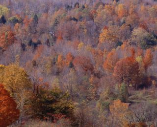 Top 10 Fall Foliage Travel Destinations | The Weather Channel