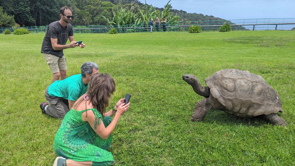 World’s Oldest Known Tortoise Still Very Much Alive Despite Rumor To ...