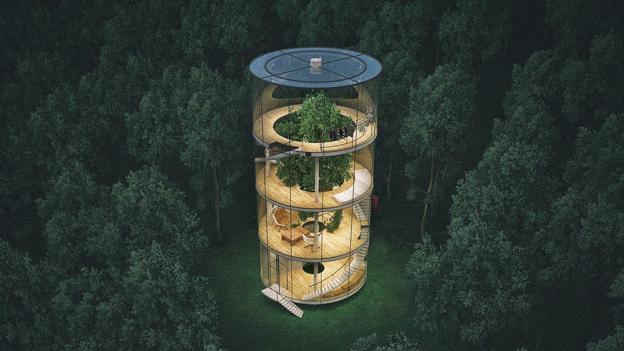 Translucent House Built Around a Tree in a Forest Will Be the Perfect ...