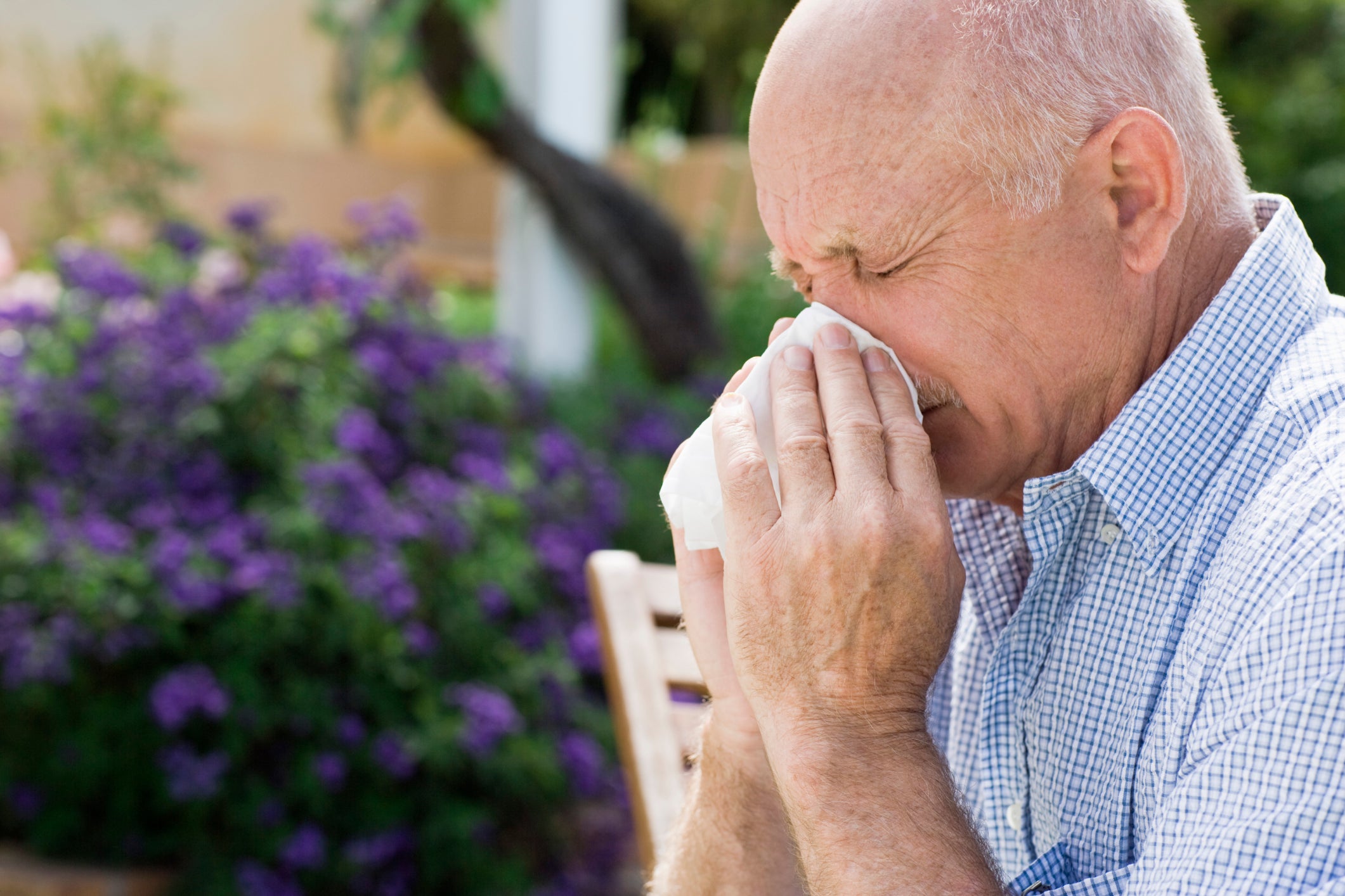 Top 10 Spring Allergy Myths and Mistakes | The Weather Channel