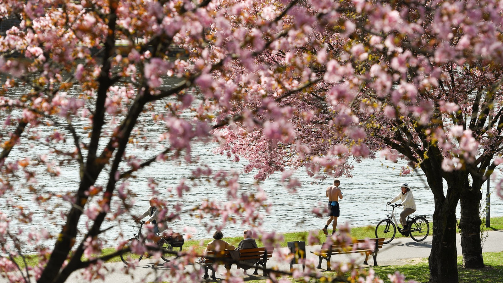 Stunning places in Britain to enjoy the arrival of Spring (PHOTOS ...