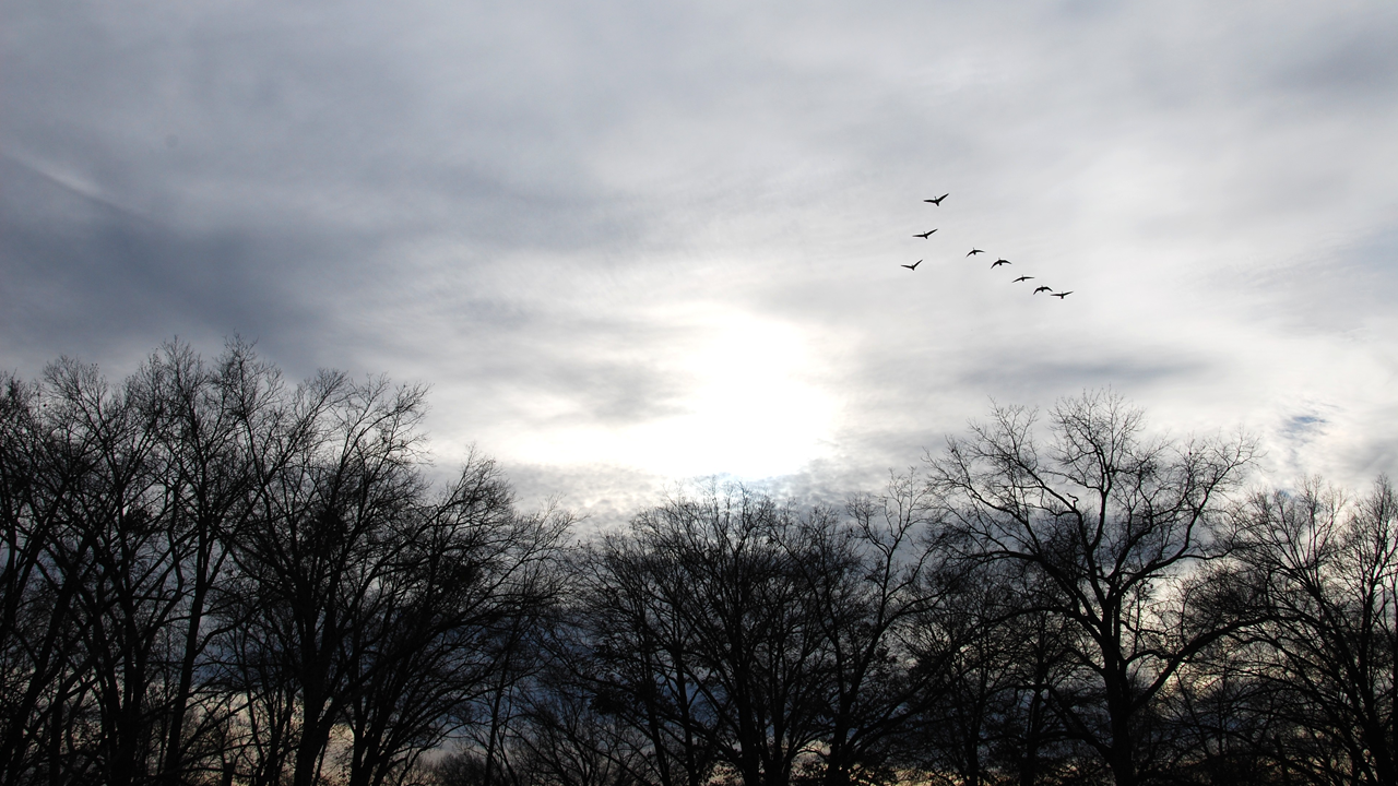 In-depth five-day predictions from April 20 | The Weather Channel