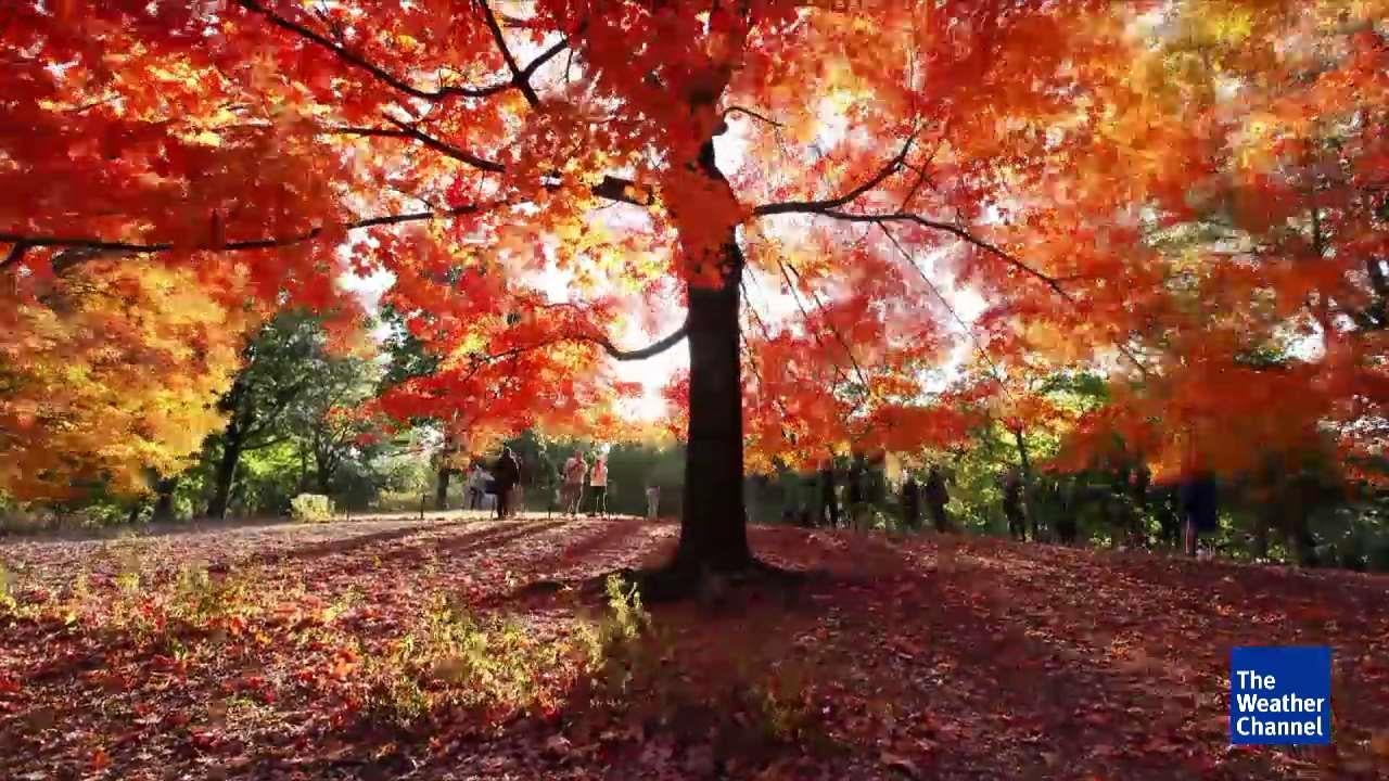 Big Weather Changes You Can Expect in October | The Weather Channel