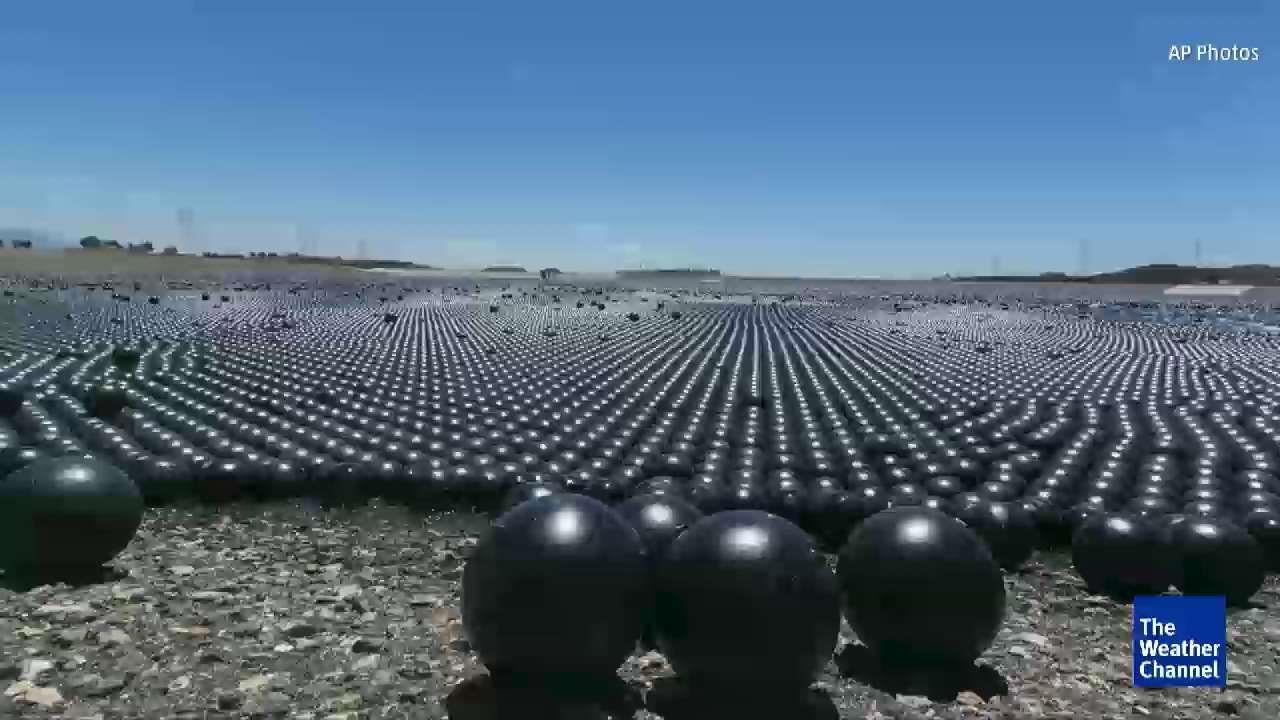 Shade Balls