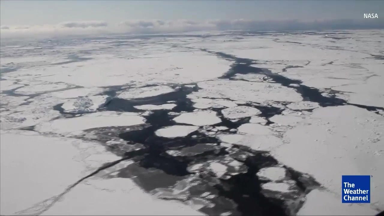 Antarctic Ice Shelves Melting Rapidly | The Weather Channel