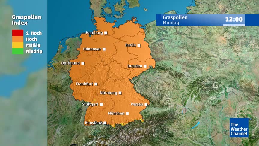 Pollenflug: In einer Region können Allergiker diese Woche kurz aufatmen ...