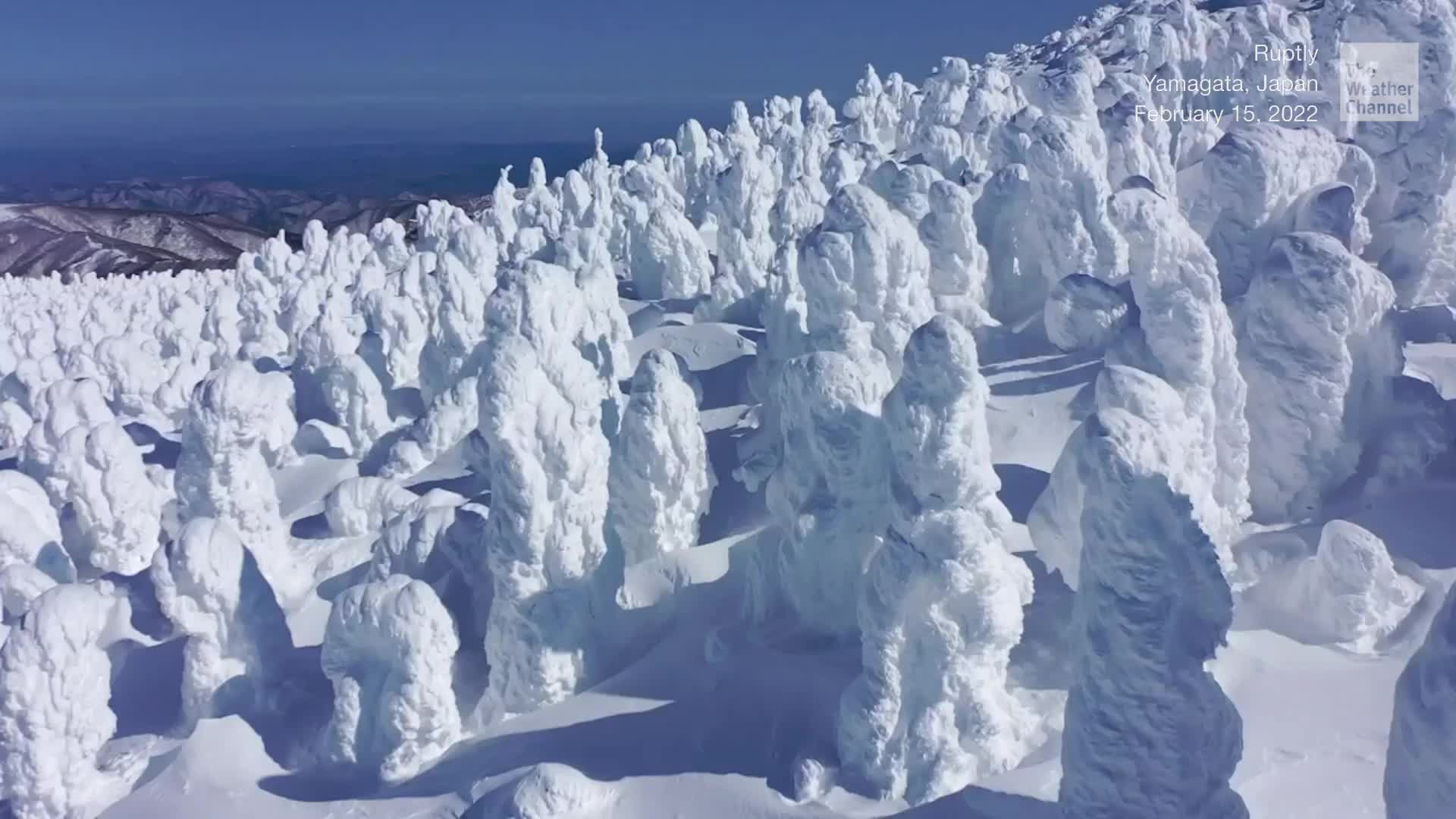 Monstruo De Nieve